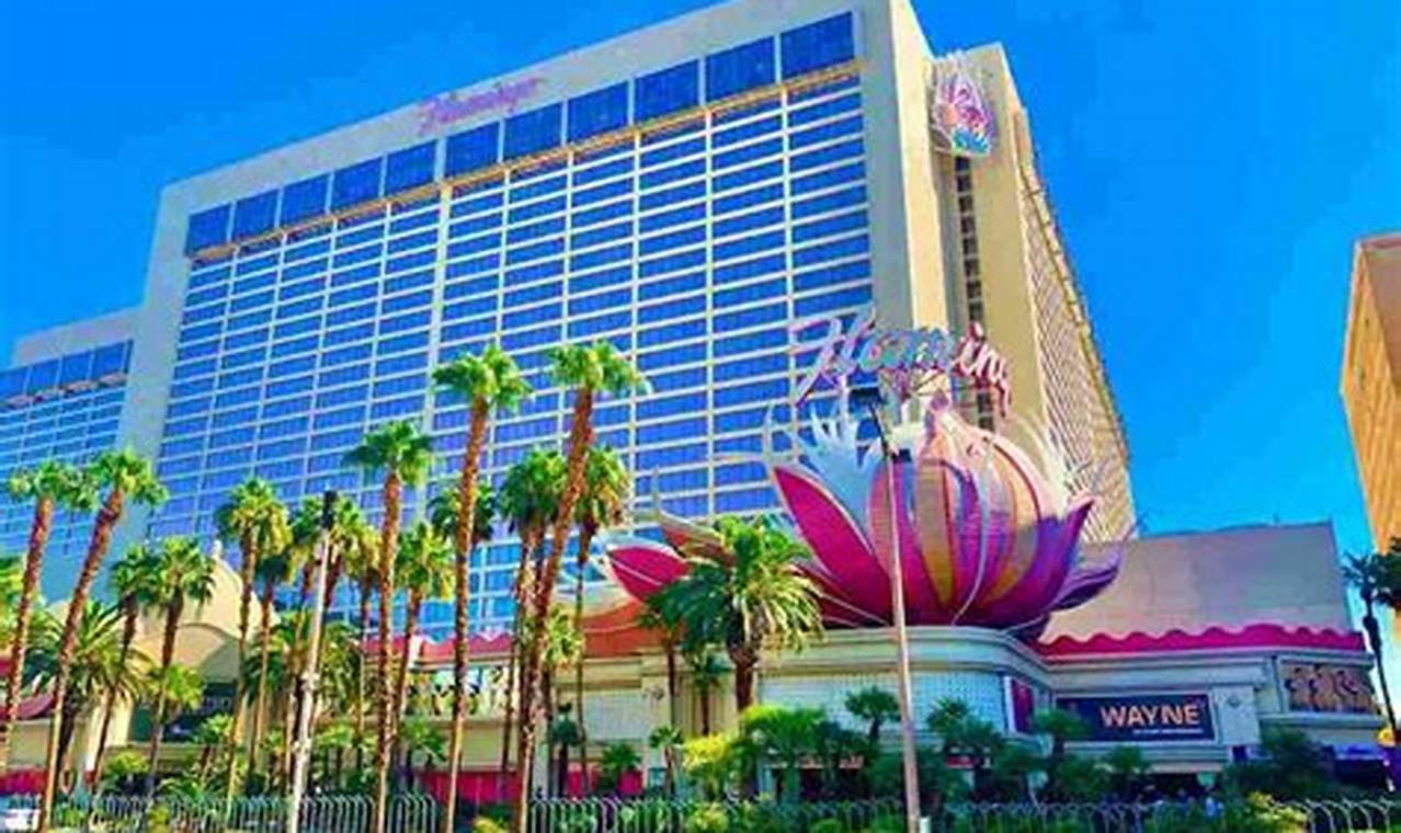 Find Cheap Hotels Near You | America Hotel